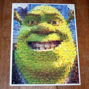 Art | Amazing Shrek Animals Montage Coolest Ever Ed To 25 | Poshmark
